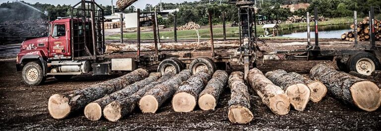 Missouri Forest Products Association’s Logging School | ISC Barrels
