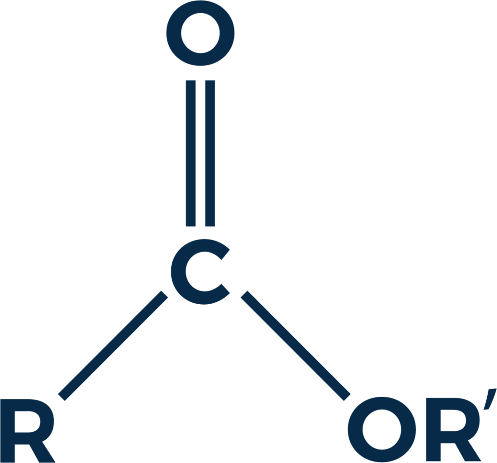 Esther Diagram | ISC Barrels